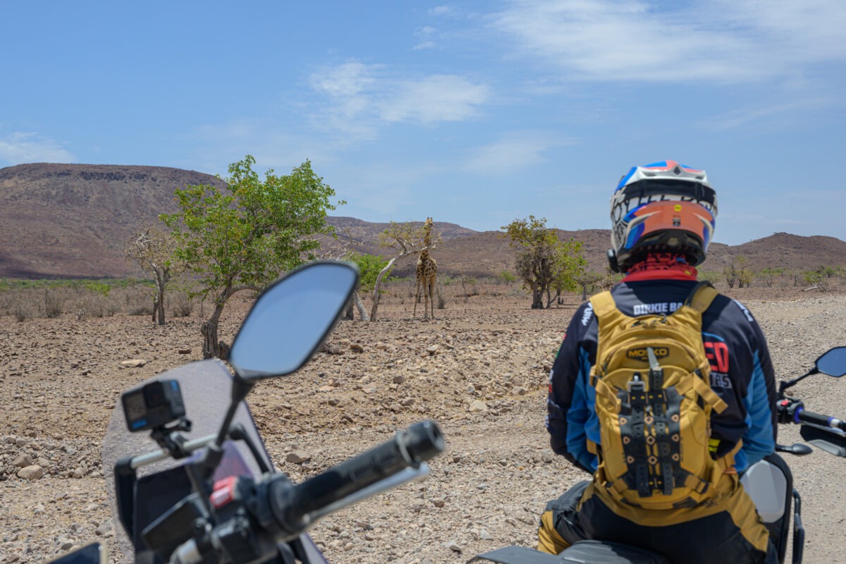 Untamed x LNR Moto tour - LNR Moto